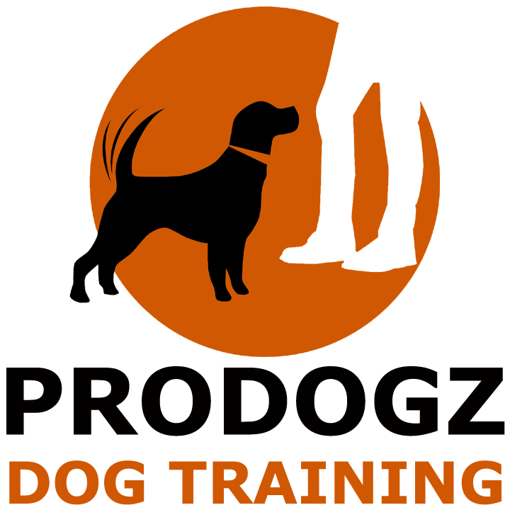 Dog Trainer Medford Oregon | Dog Obedience | Puppy | Prodogz
